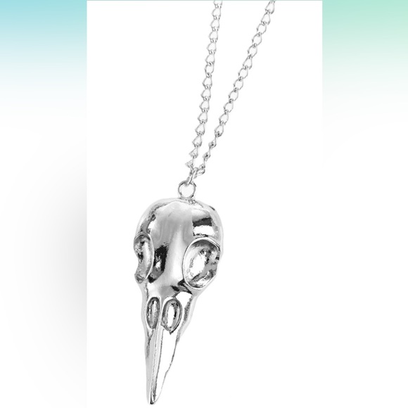 Hand Crafted | Jewelry | Punk Crow Raven Skull Necklace Unopened | Poshmark
